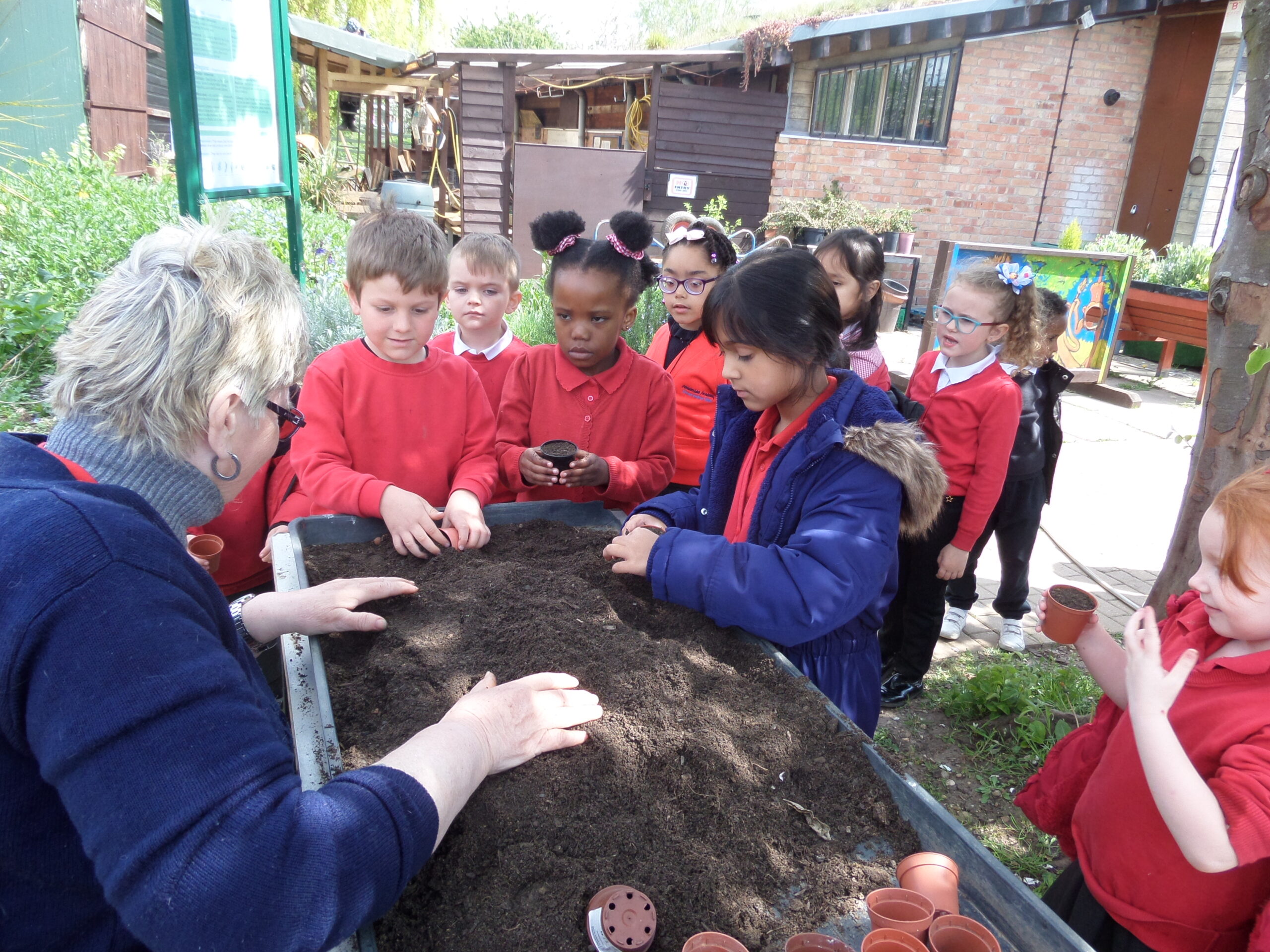 Year 1 - Ambleside